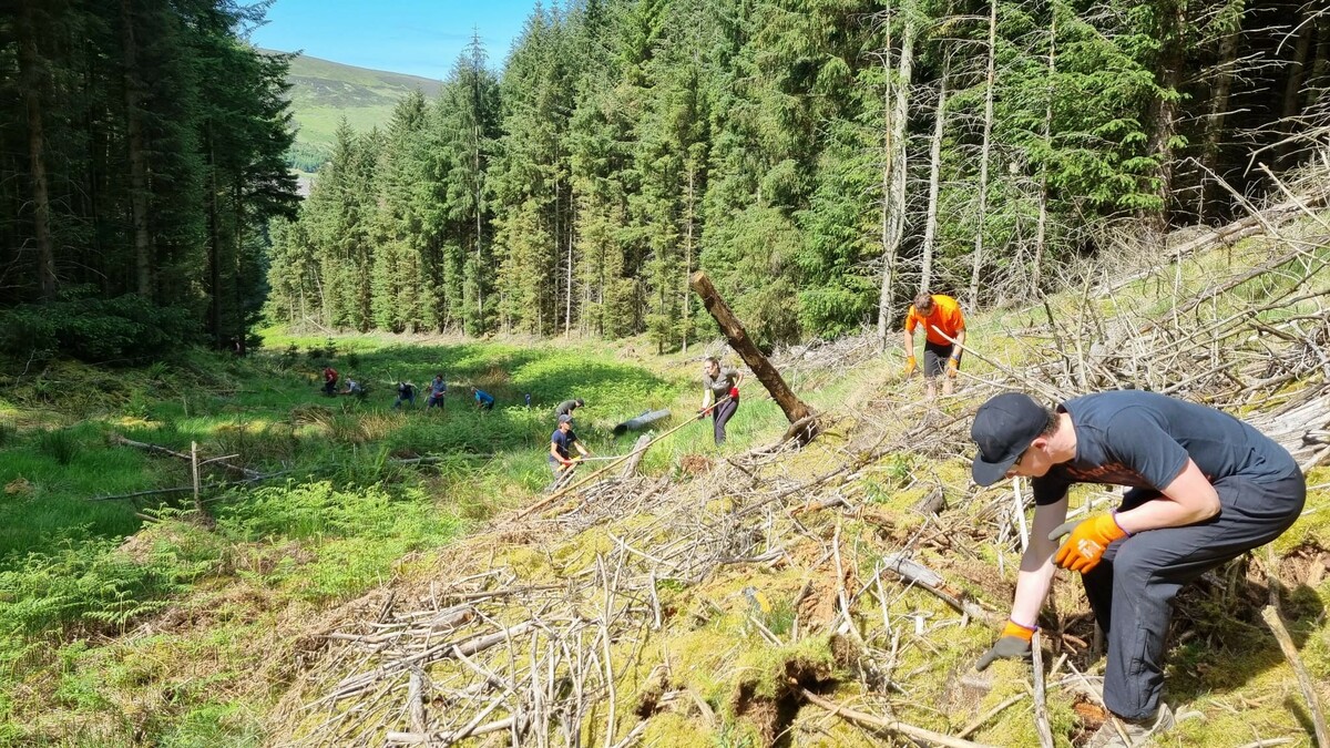 TVTA 2023 Survey Results | Tweed Valley Trails Association (TVTA)